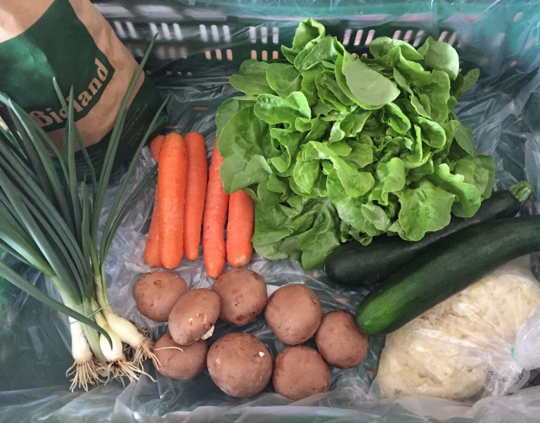 Gemüse Abo KW 14/2017 - Pasta Manfredine mit Pesto, Champignons und ...